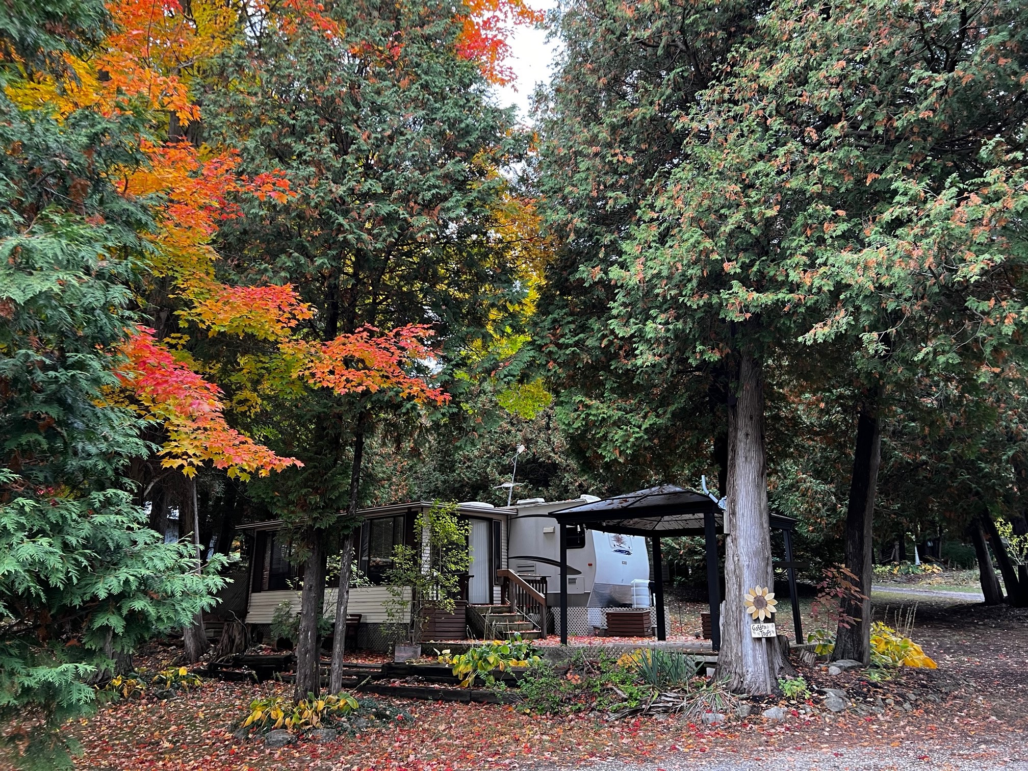 Lawson Park - Site Images
