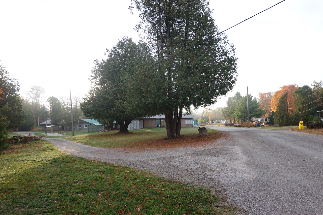 Lawson Park - Grounds