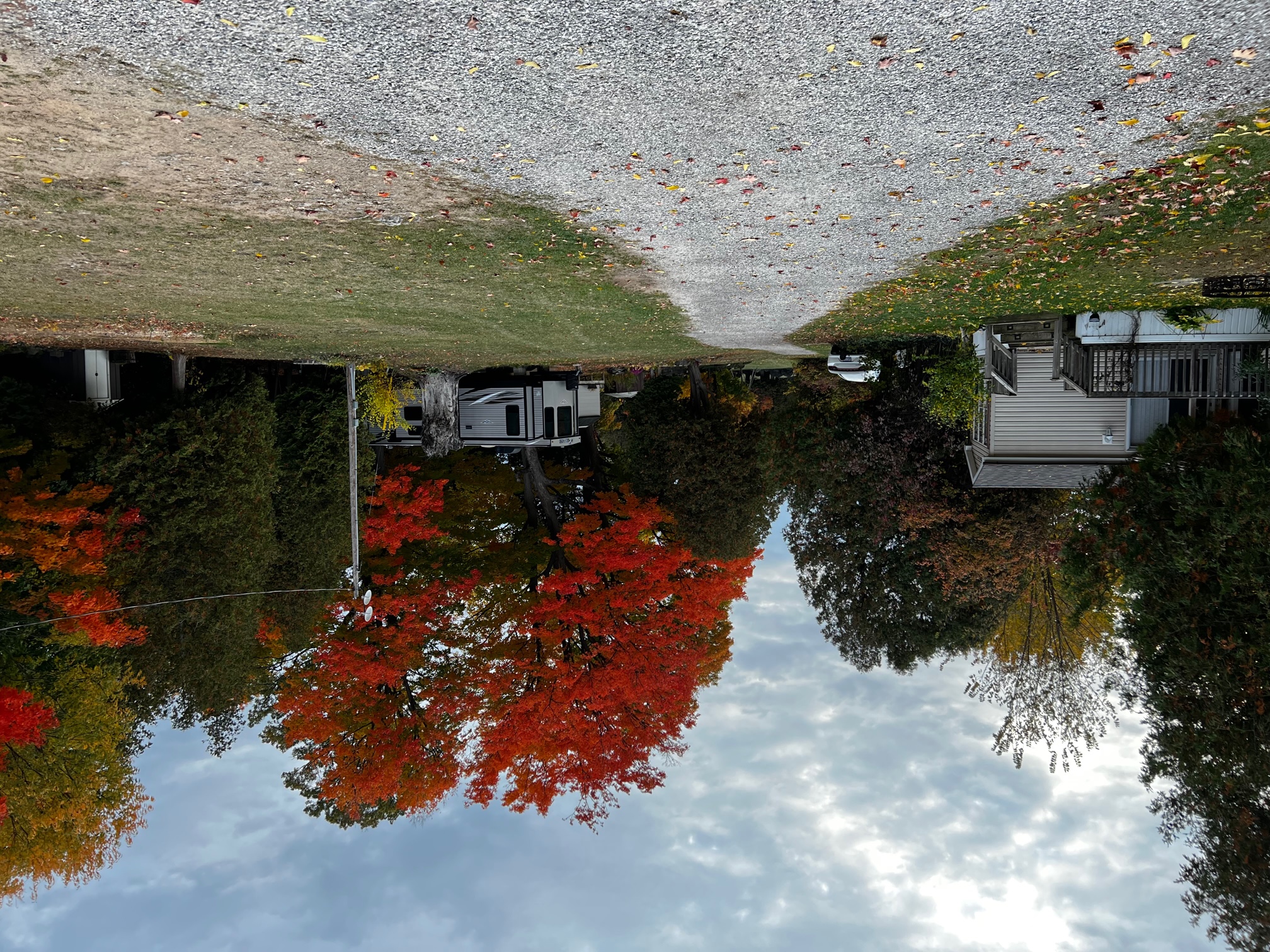 Lawson Park - Grounds